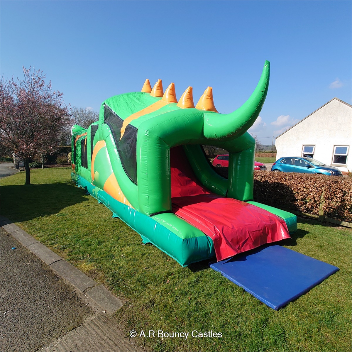 Lizard Obstacle Course - Bouncy Castle Hire in Newry, Warrenpoint ...